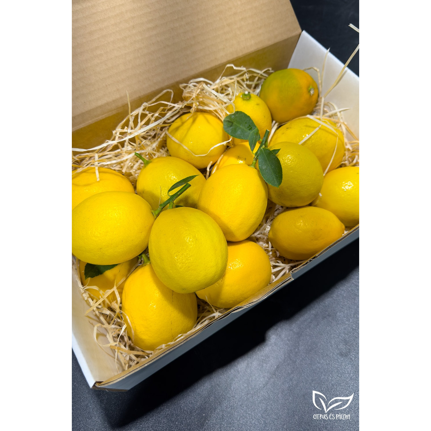 Meyer Citrom - 2 kg eladó | Citrus és Pálma Kertészet