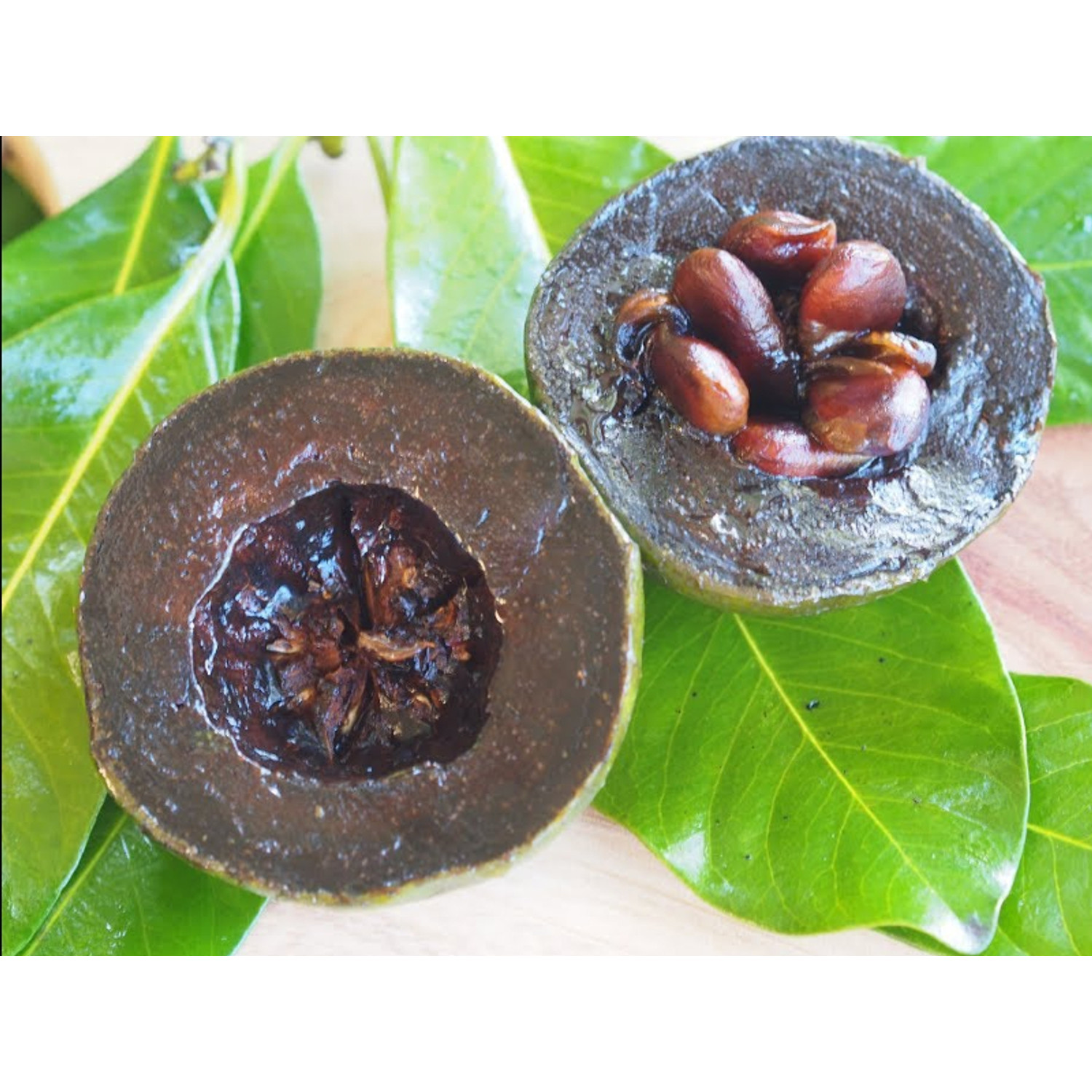 Fekete Datolyaszilva eladó | Citrus és Pálma - Kertészet