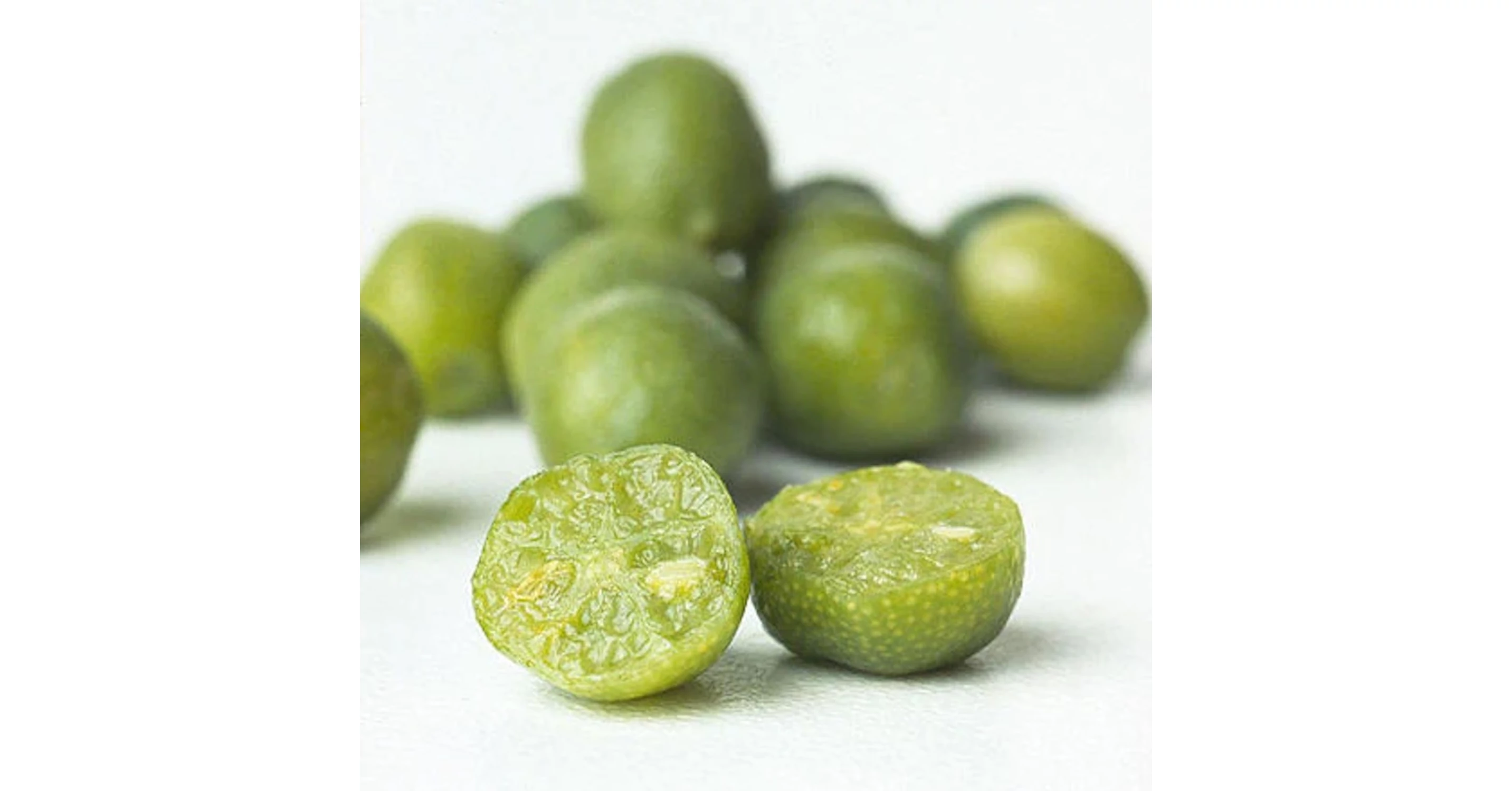 Australian Desert Lime Lemon Tree de vânzare | citrusespalma.com