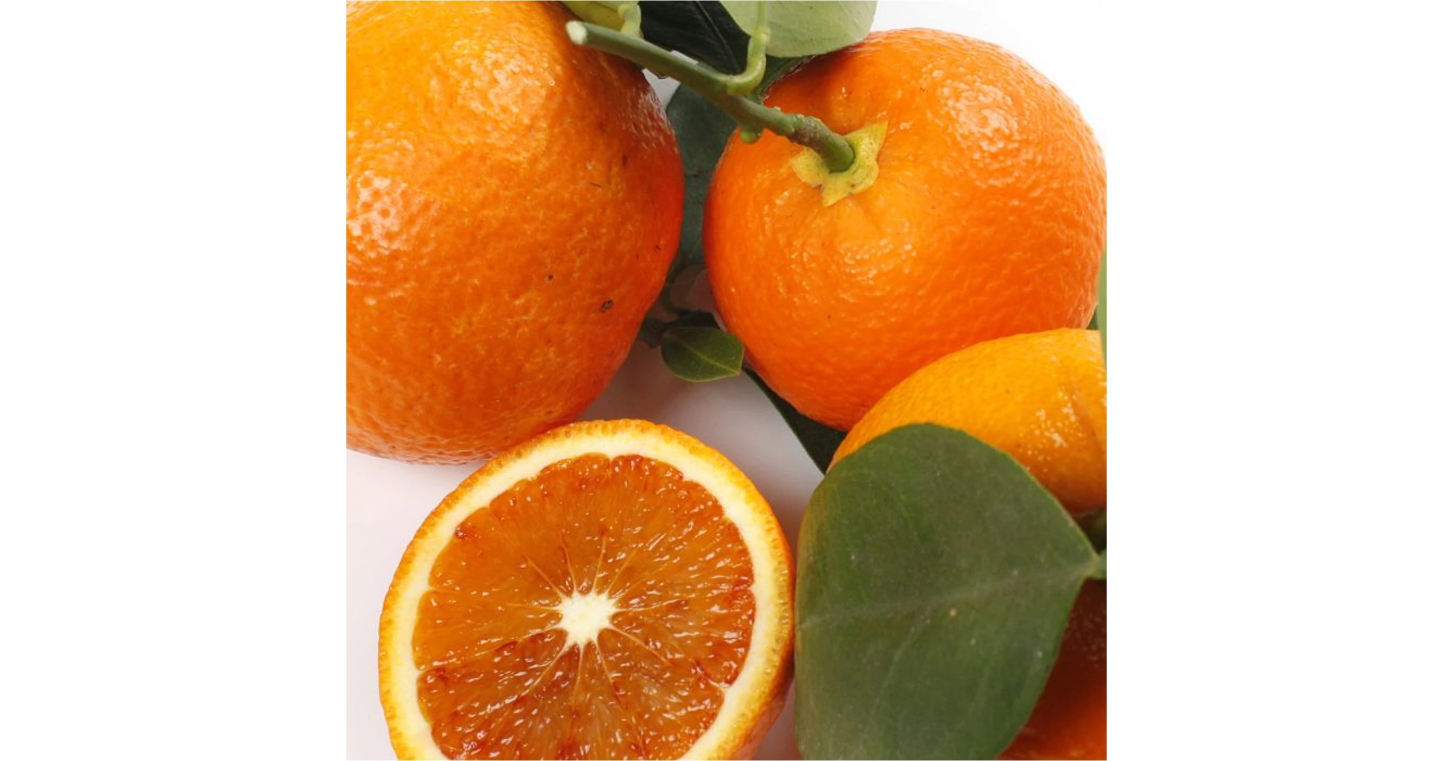 Vanilie dulce, portocal de vânzare | Citrice și palmieri - Magazin de ...