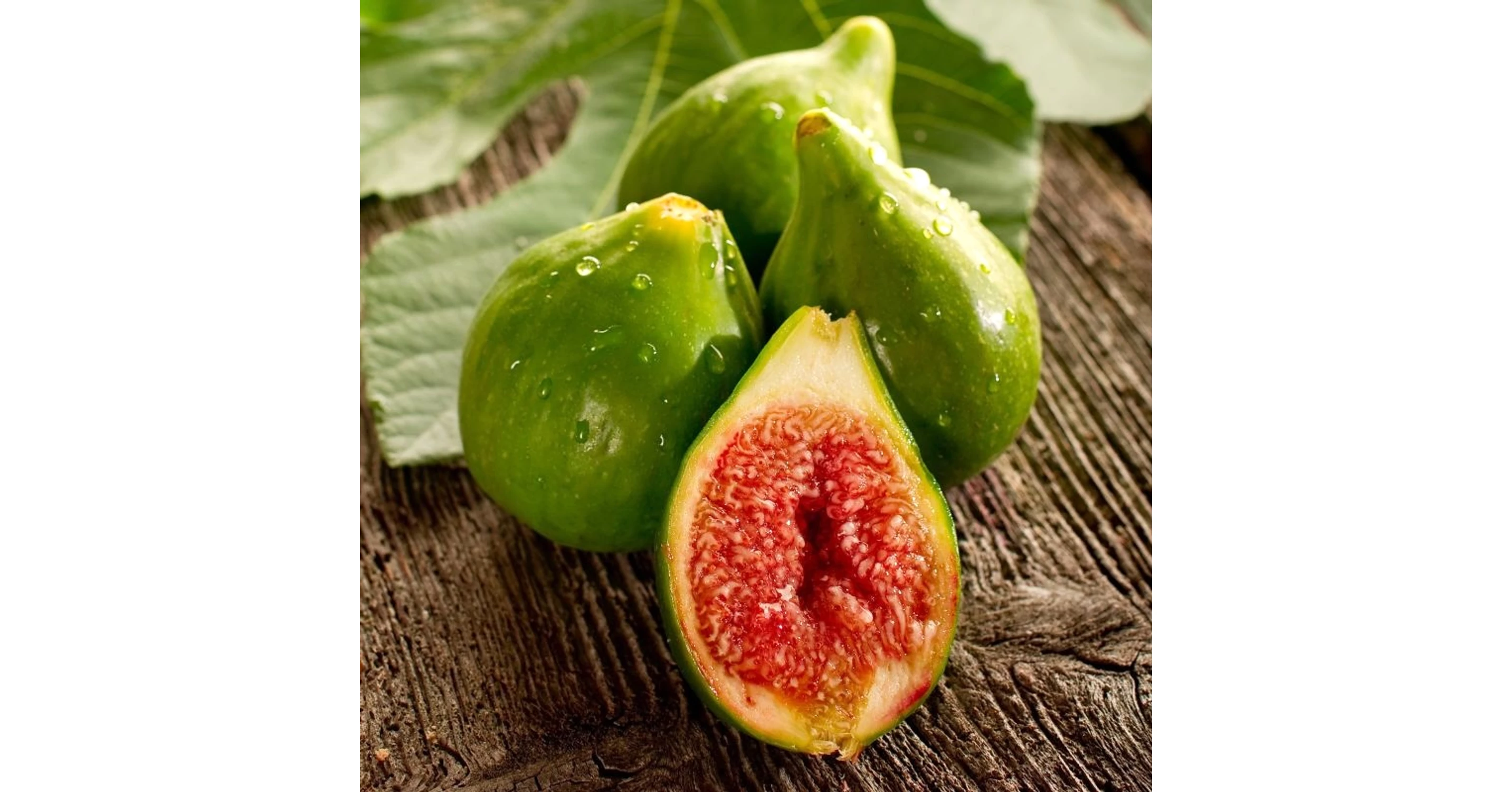 Füge 'Desert King' - Ficus carica 6.490 Ft