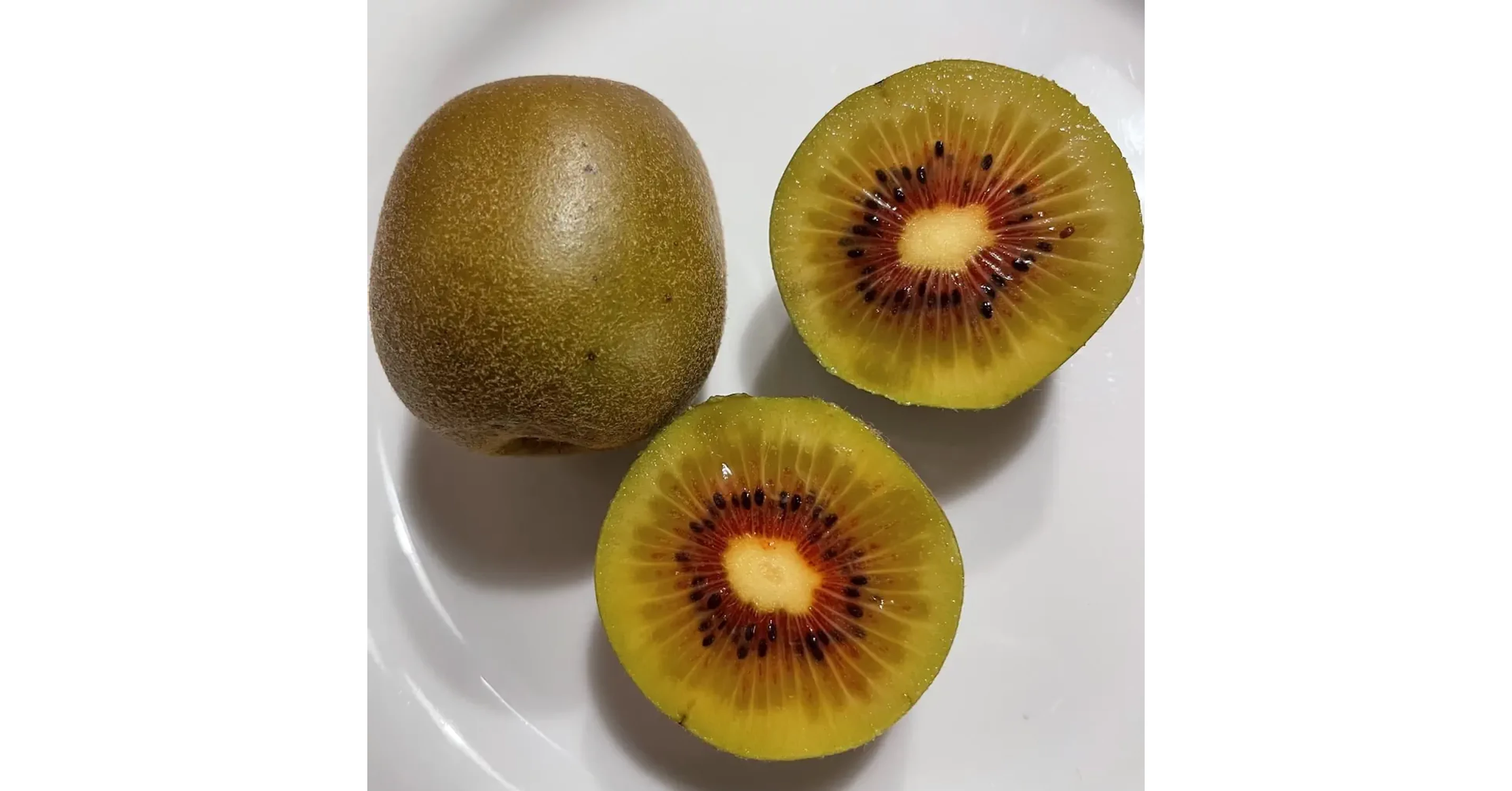 Hongyang pirosas húsú kiwi 5.990 Ft | Citrus és Pálma Kertészet